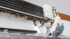 Aircon Drain Jelly: What It Is and How to Prevent It lioncityaircon.sg